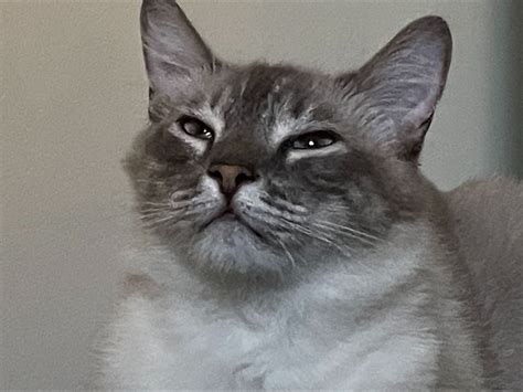 ramon durães 🚀🤖🌎 on linkedin developers software