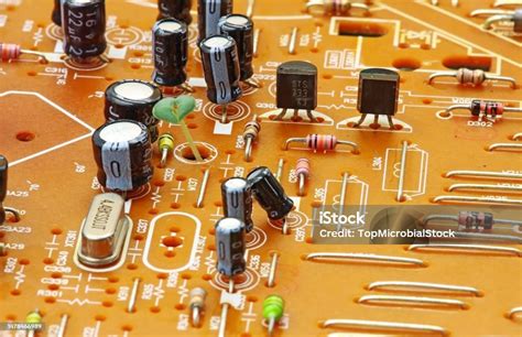 전자 회로 기판의 중간에 작은 식물 또는 발아 종자 자연이 길을 만든다 0명에 대한 스톡 사진 및 기타 이미지 0명 Cpu 가상현실 Istock