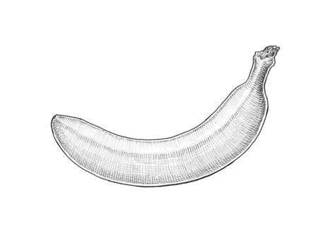 Как нарисовать маленький банан - 98 фото