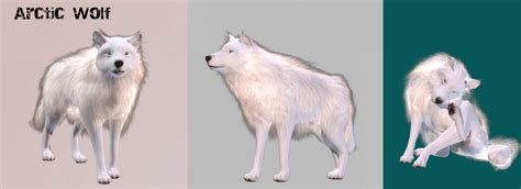 Anthro Arctic Wolf