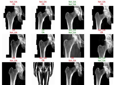 Building My First Binary Image Classifier Euchs Blog