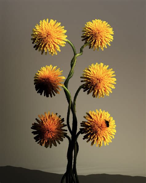 Aesthetica Magazine Digital Taxonomy