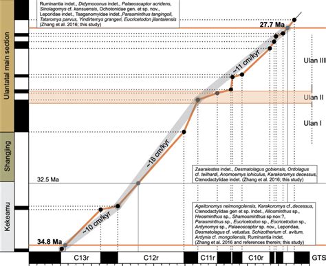 Age Depth Model With Average Sedimentation Rates Constructed From