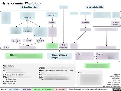 Hyperkalemia Physiology Diagram Quizlet