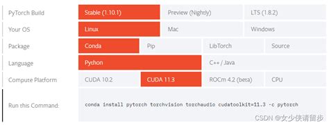 Linux服务器安装对应cuda版本的pytorch服务器下载cuda102对应的pytorch Csdn博客