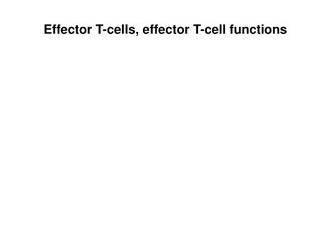 PPT Effector T Cells Effector T Cell Functions PowerPoint Presentation ID 6101683
