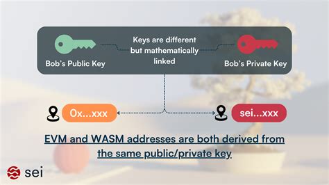 Sei V2 Evm And Wasm Interoperability