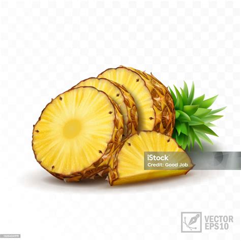 3d 사실고립 벡터 파인애플 세트 잎 슬라이스 및 반 파인애플 파인애플에 대한 스톡 벡터 아트 및 기타 이미지 파인애플 0명 3차원 형태 Istock