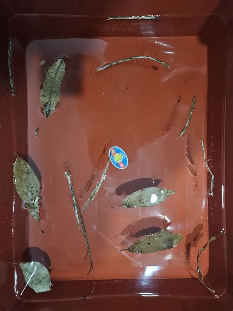 Floating Things Object Detection Dataset By Environment