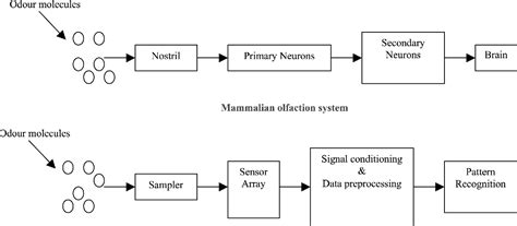 Figure From A Review Of Gas Sensors Employed In Electronic Nose Applications Semantic Scholar