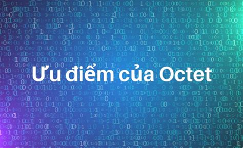 Octet Là Gì Chuỗi Octet Trong Địa Chỉ Ip And Giao Thức Mạng
