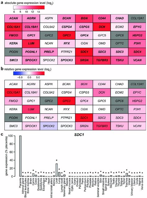 Placental Expression Of Proteoglycan Genes A Absolute Microarray