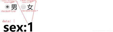 Vue入门到高级实战知识点vue 双括号 高级 Csdn博客