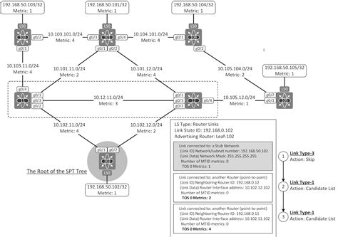 The Network Times Vxlan Underlay Routing Part I Ospf And Dijkstraspf Algorithm