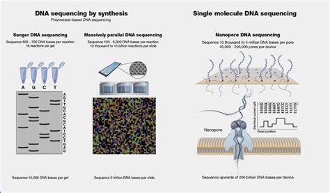 Eric Green M D Ph D On Linkedin While The Use Of Genomic
