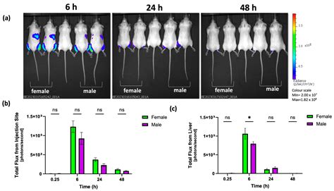 Vaccines Free Full Text The Role Of Biological Sex In Pre Clinical