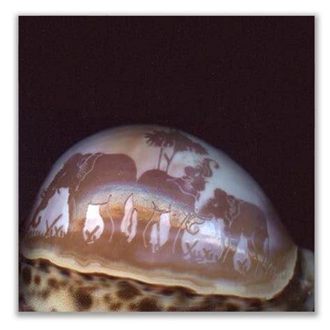 Cameo Jewelry