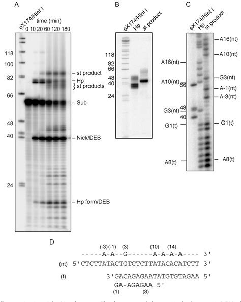 Table 1 From Dna Sequence Bias During Tn5 Transposition Semantic Scholar