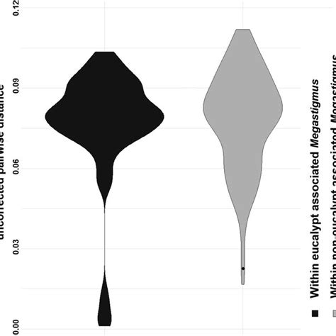 Violin Boxplot Illustrating The Distribution Of Uncorrected Pairwise Download Scientific