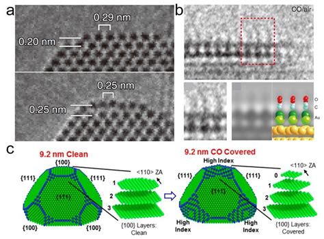 北科大王荣明 南科大杨烽am：原位和环境透射电镜揭示纳米晶体的原子尺度结构动力学研究 X Mol资讯