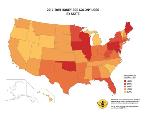 Us Honey Bee Population Ravaged In Past Year As Troubling Survey