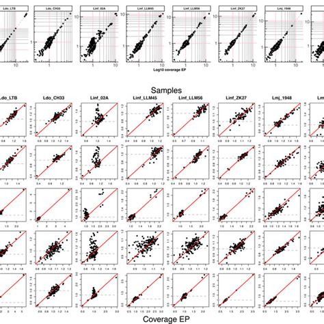 Gene Copy Number Variation Cnv During Culture Adaptation A Download Scientific Diagram