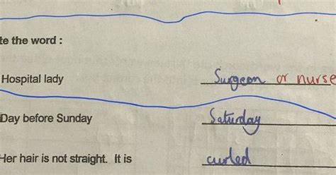 Babe Girl Has The Perfect Answer To A Sexist Homework Question