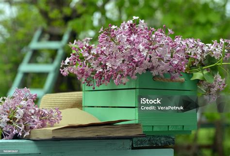 정원에 펼쳐진 책이나 일기장과 라일락 꽃다발이 있는 빈티지 정물 여름과 봄 시즌 컨셉입니다 어머니의 날 생일 인사말 카드 개념에 대한 스톡 사진 및 기타 이미지 Istock