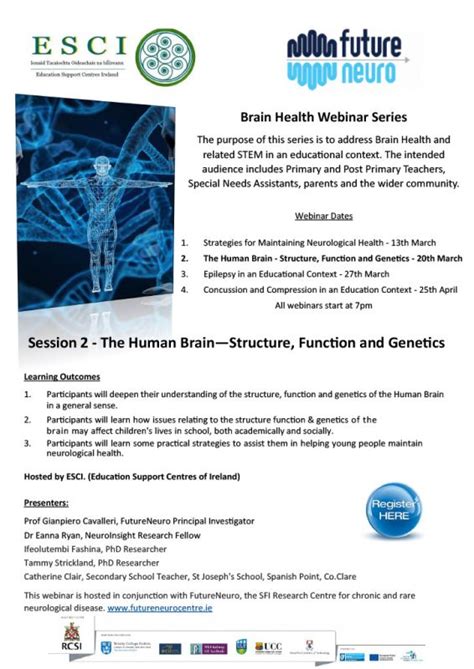 Education Centre Tralee Teacher Cpd 23tra263 The Human Brain