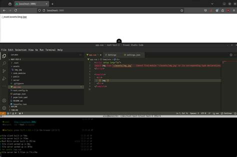 importing images shows error in vscode works in build nuxt