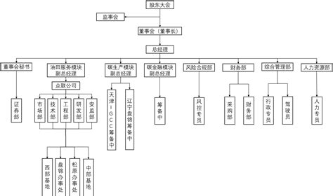 北京百利时能源技术股份有限公司 组织结构