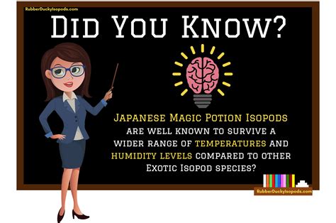 Official Japanese Magic Potion Isopods Care Guide 2024