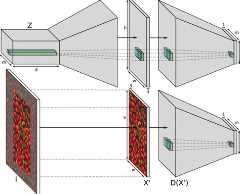 Spatial Gan Model Sgan A Generator G Transforms A Spatial Noise