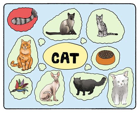 Assimilation Examples