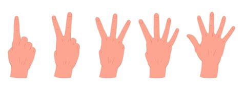 Premium Vector Counting Hands Gestures Cartoon Hand Palms With Count From One To Five Gestures