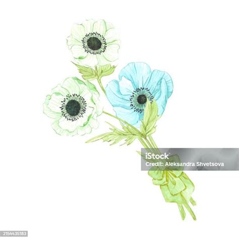 손으로 그린 수채화 흰색과 파란색 말미잘 꽃다발 와 활 와 엽서 포스터 및 기타 인쇄물에 사용할 수 있습니다 0명에 대한 스톡 벡터 아트 및 기타 이미지 Istock