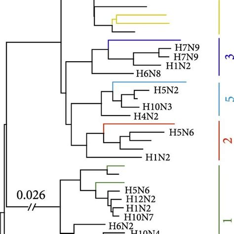 Phylogenetic Analysis Of The Pb2 A Pb1 B Pa C Np D M E