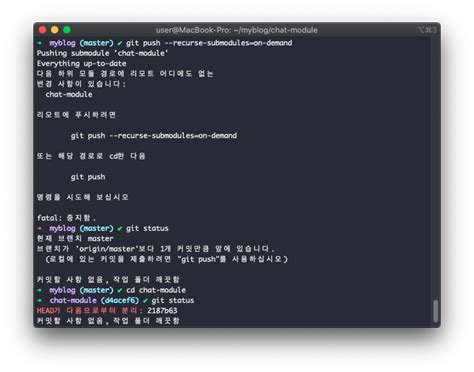 Git 의 서브모듈submodule Sunghos Blog