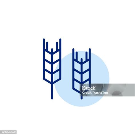 밀의 이삭 알레르겐 경고 곡물 기반 성분 픽셀 퍼펙트 벡터 아이콘 로고에 대한 스톡 벡터 아트 및 기타 이미지 로고 빵집 건초 식물 Istock