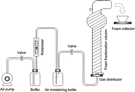 Schematic Diagram Of Foam Fractionation Technology Download