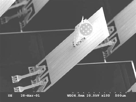 sem of a draw bridge mirror structure download scientific diagram
