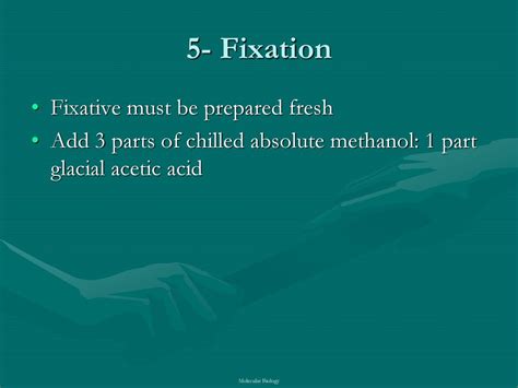 Human Metaphase Chromosomes Ppt Download