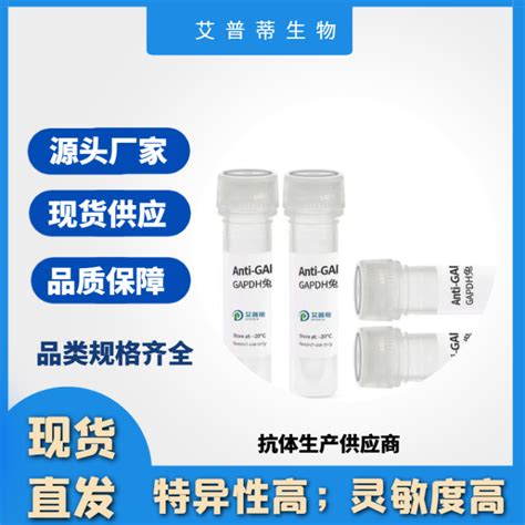 前列腺素e受体4相关蛋白fem1a多克隆抗体 艾普蒂售后有保障 前列腺素e受体4相关蛋白fem1a多克隆抗体 艾普蒂售后有保障