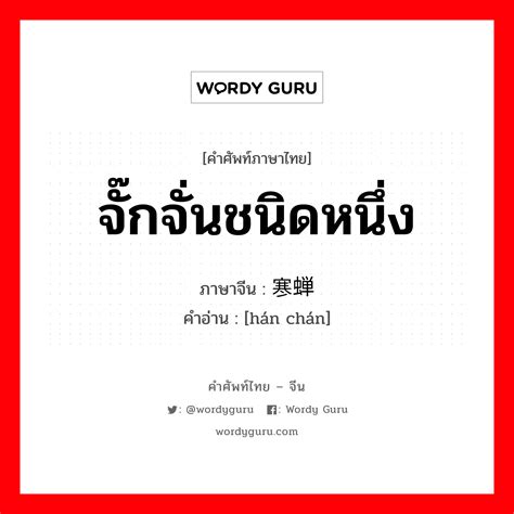 จั๊กจั่นชนิดหนึ่ง ภาษาจีนคืออะไร Wordy Guru