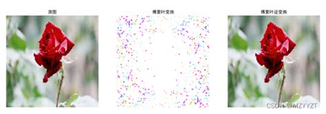 数字图像处理 傅里叶逆变换数字图像处理 整体逆变换 Csdn博客 数字图像处理 傅里叶逆变换数字图像处理 整体逆变换 Csdn博客