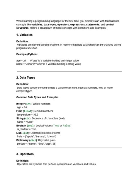 programming basics pdf data type boolean data type