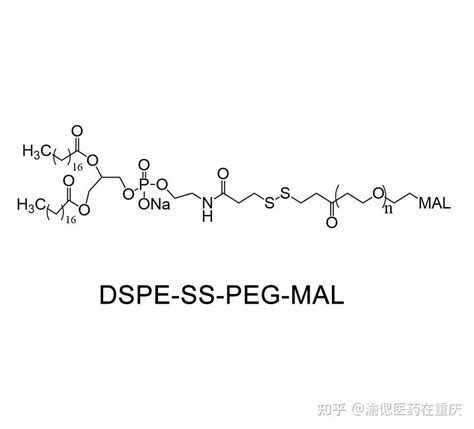 磷脂peg衍生物dspe Ss Peg Mal脂质体载体材料介绍二硬脂酰基磷脂酰乙醇胺 双硫键 聚乙二醇 马来酰亚胺 知乎 磷脂peg衍生物dspe Ss Peg Mal脂质体载体材料介绍二硬脂酰基磷脂酰乙醇胺 双硫键 聚乙二醇 马来酰亚胺 知乎