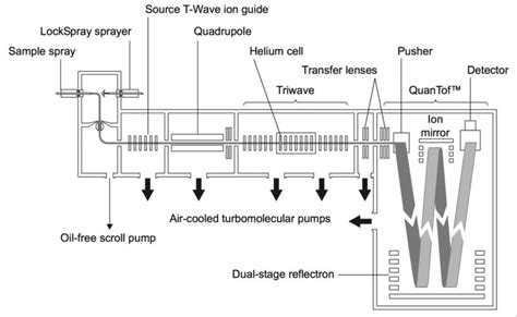 8 Schematic Of The Ion Optics In The Synapt G2 Si High Definition Mass