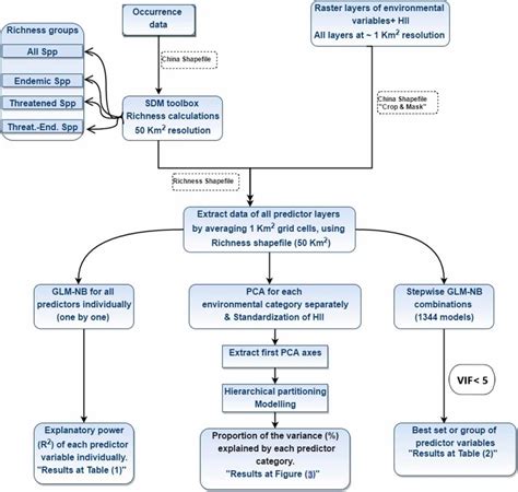 Flowchart Showing Statistical And Spatial Modelling Analyses