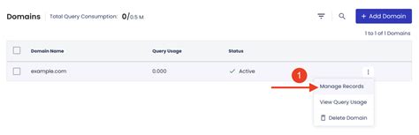 Understanding And Setting Up DNS Records A Step By Step Guide